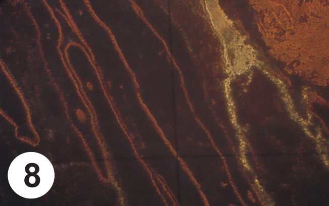 Minerals And Coal Under Microscope - General Fossil Discussion - The ...