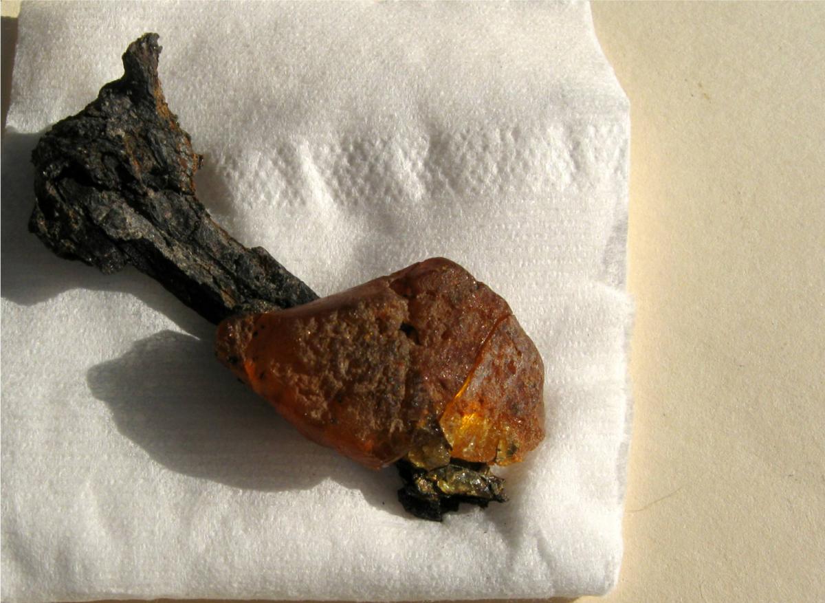 For Halloween 2: Spooky Arachnids In Amber - General Fossil Discussion ...