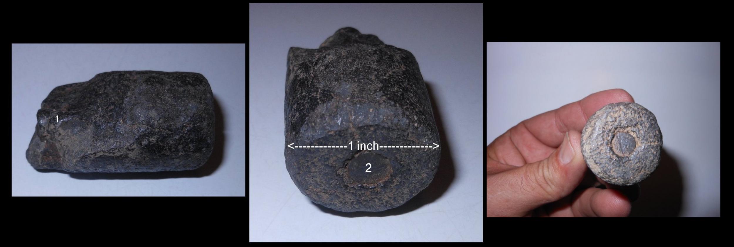 Cylindrical Fossil With Tubular Core - Fossil ID - The Fossil Forum