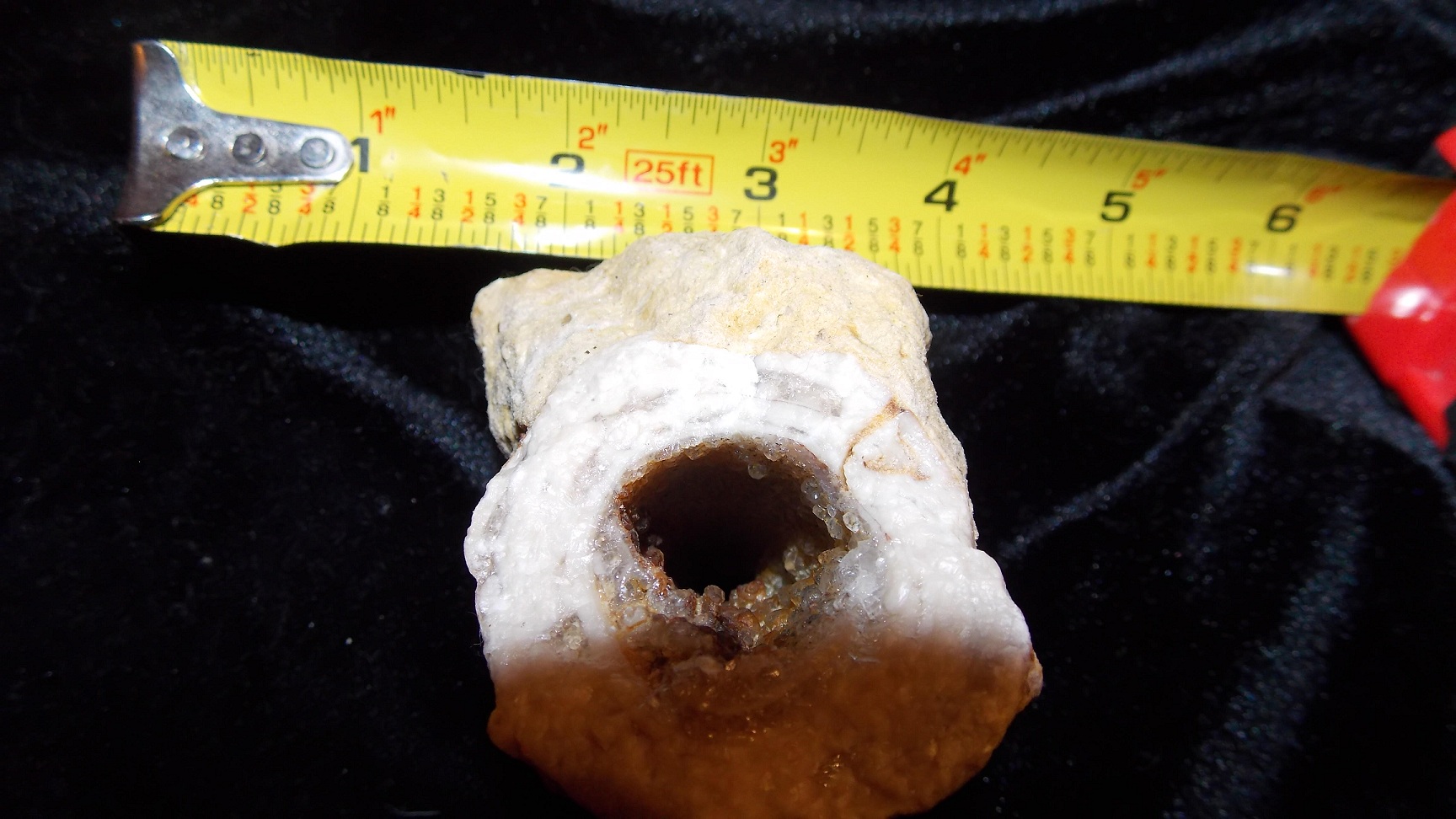 Fossil? Geode? Both? - Fossil ID - The Fossil Forum