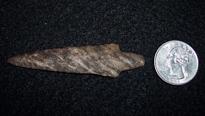 October Trip To Texas - Fossil Hunting Trips - The Fossil Forum