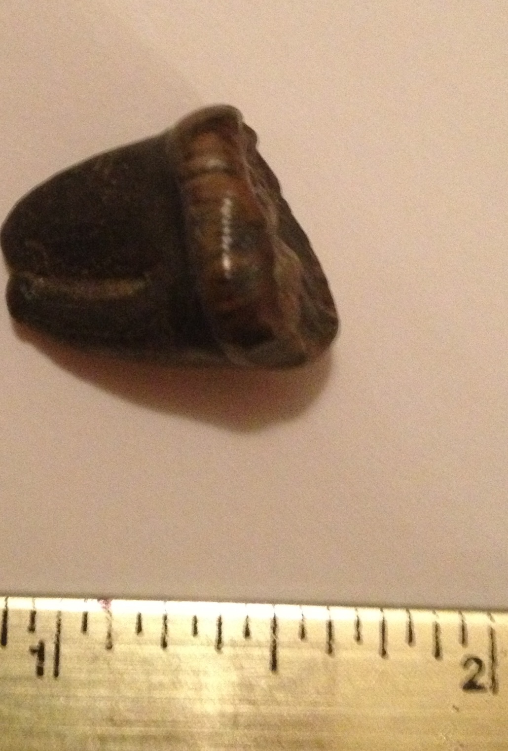 N J Cretaceous Tooth Id - Fossil ID - The Fossil Forum