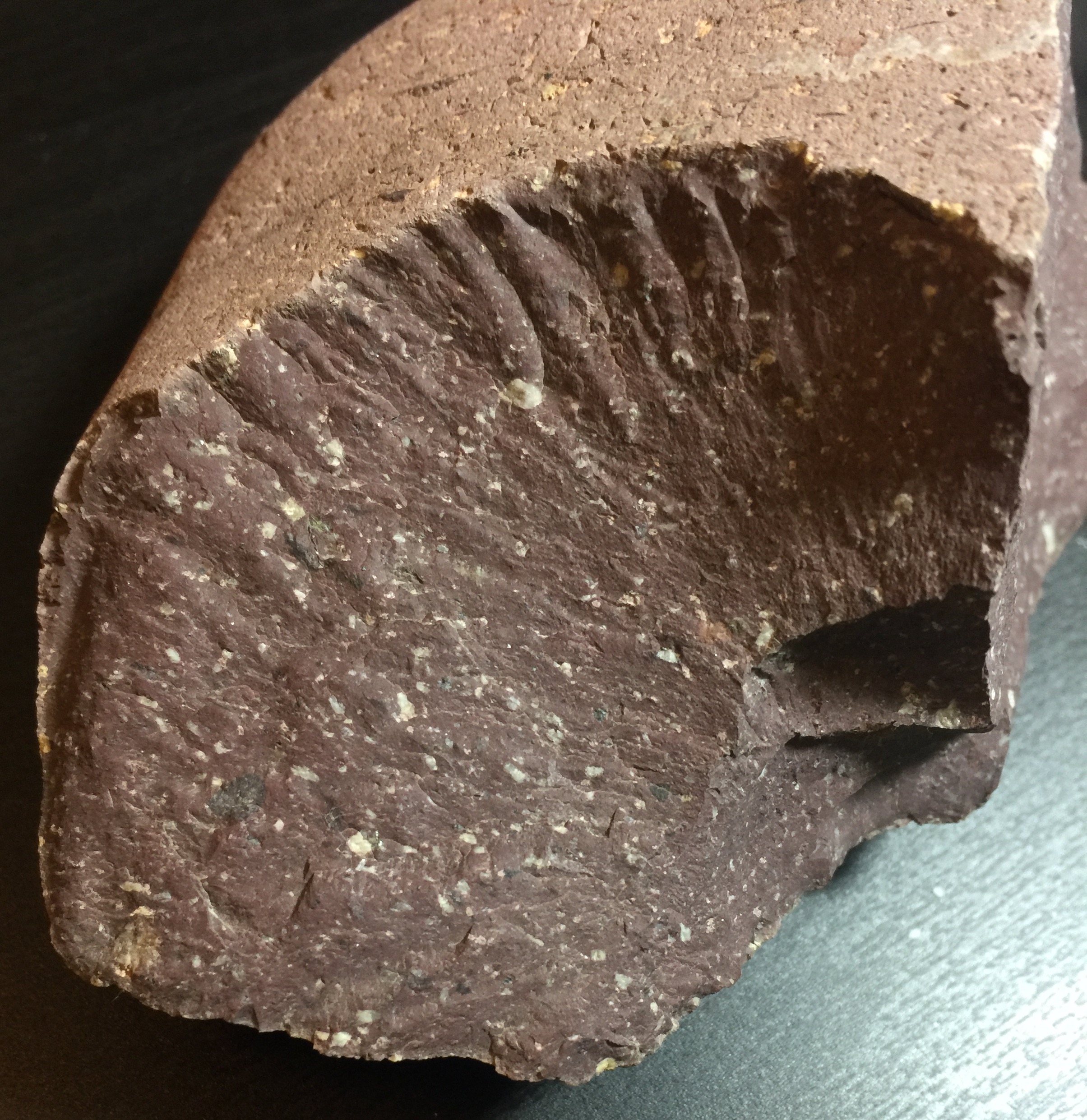 Is this a Conchodial fracture? - Fossil ID - The Fossil Forum