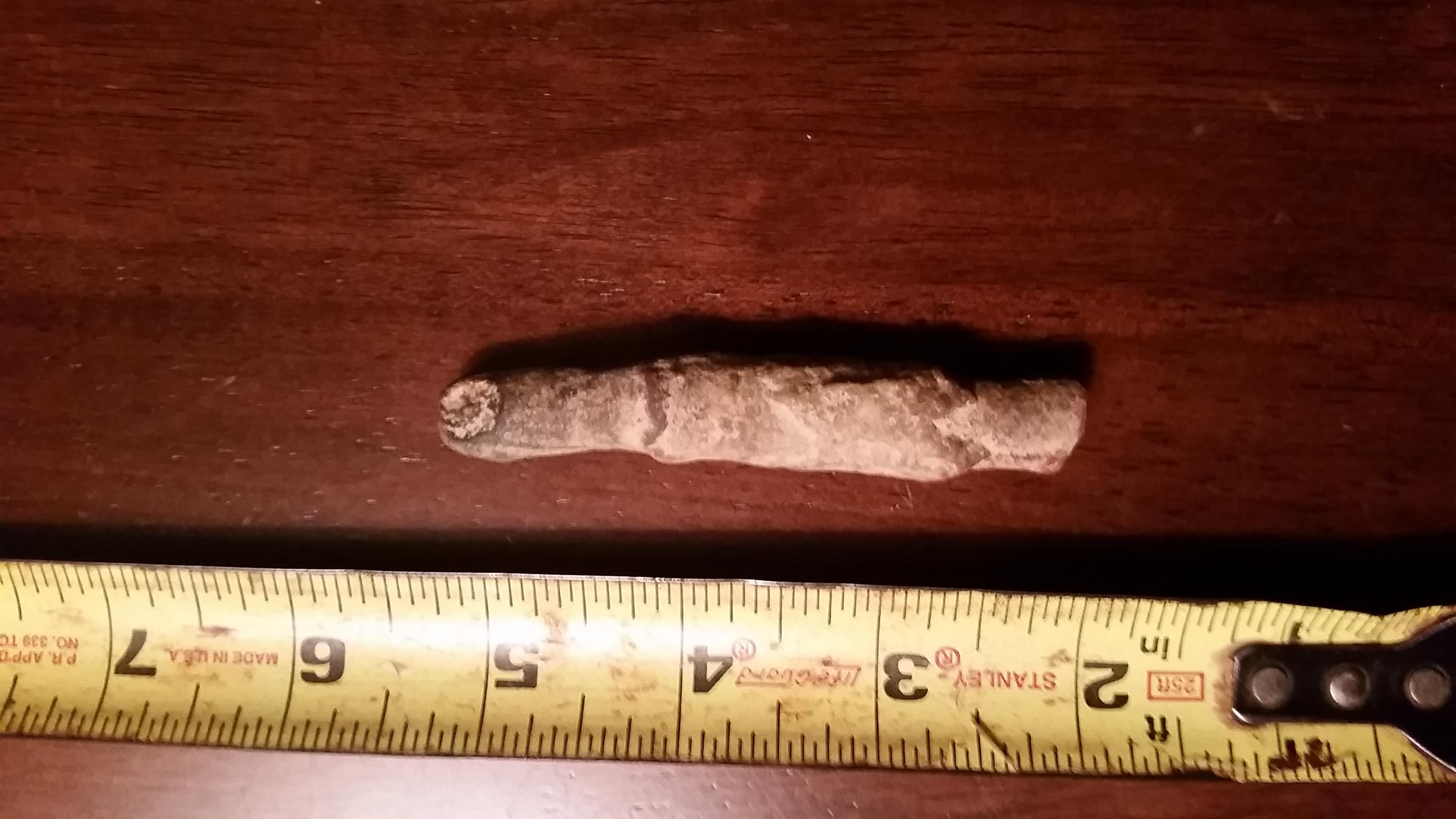 Is this a finger ? - Fossil ID - The Fossil Forum