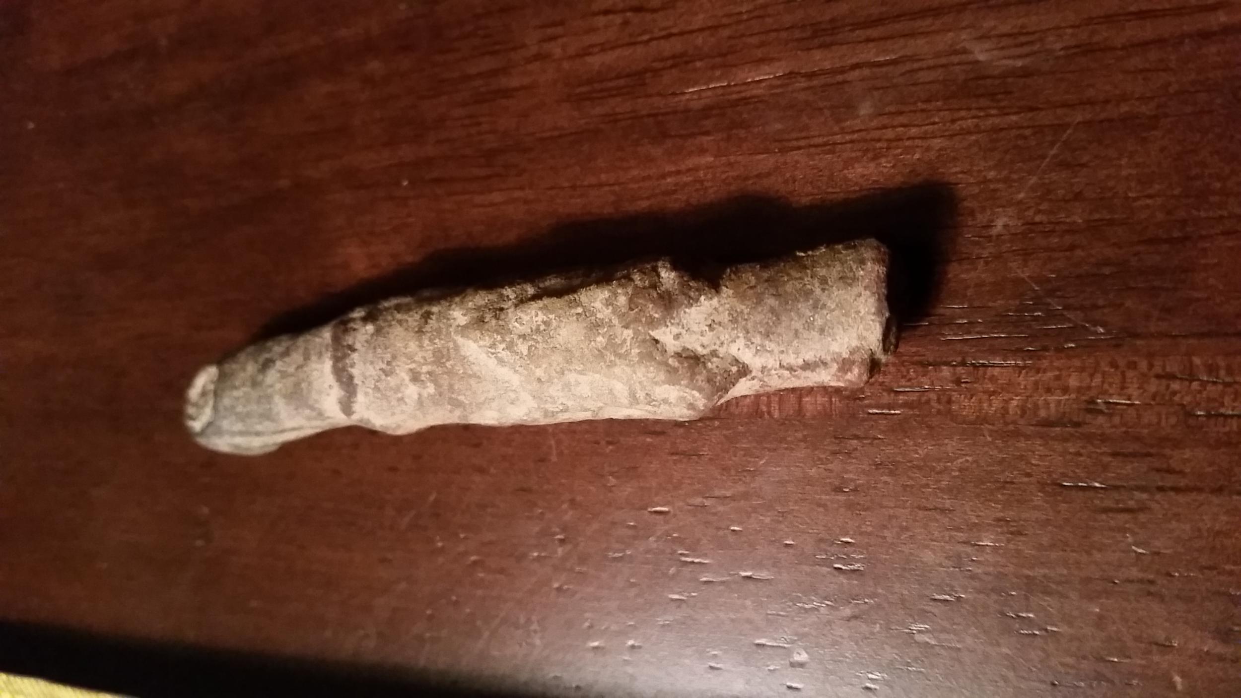 Is this a finger ? - Fossil ID - The Fossil Forum