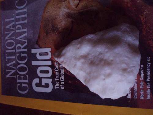 Coconut Fossil? - Fossil ID - The Fossil Forum