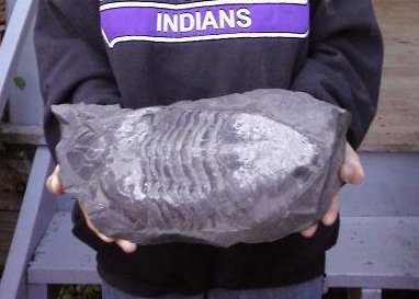 Impossible Fossil Locations - General Fossil Discussion - The Fossil Forum