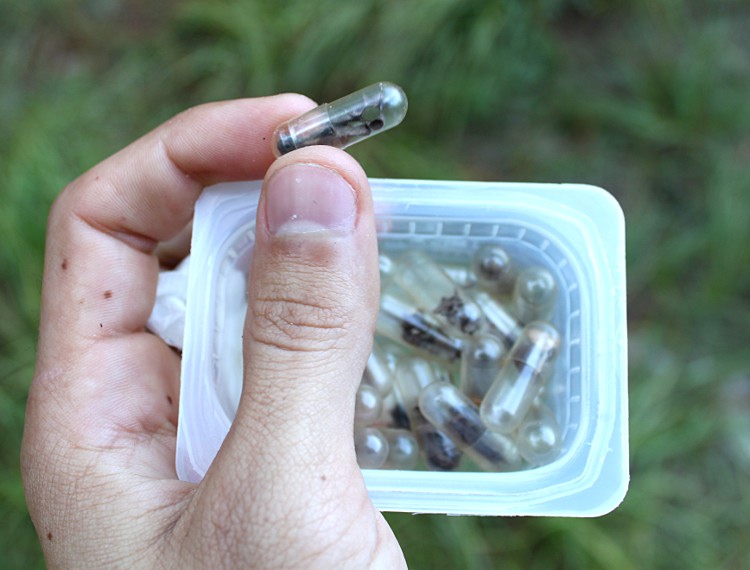 Microfossil Storage - General Fossil Discussion - The Fossil Forum