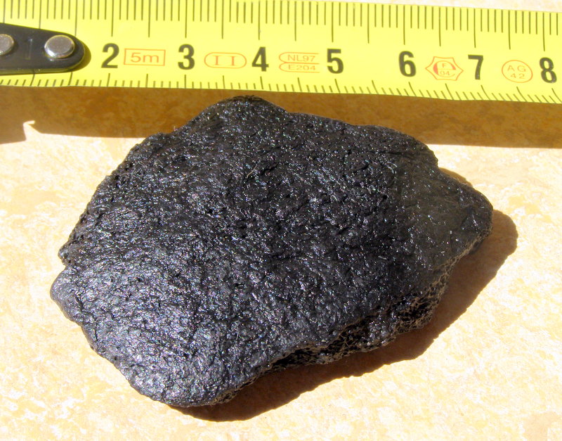 Fossil Human Skull Fragment - General Fossil Discussion - The Fossil Forum
