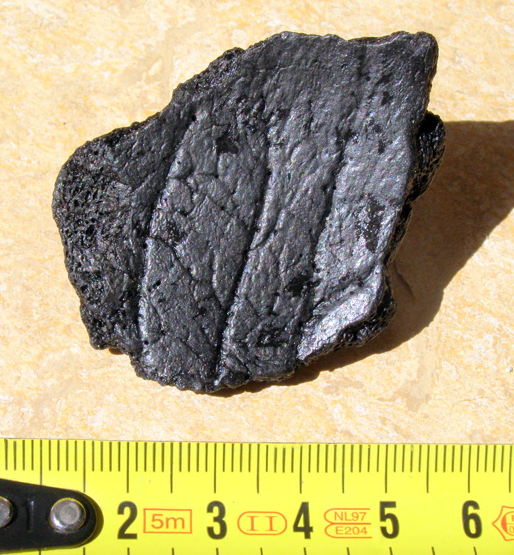 Fossil Human Skull Fragment - General Fossil Discussion - The Fossil Forum