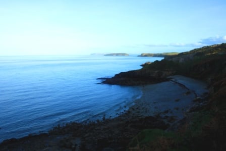 Coral Fossils - Caim, Anglesey, Uk. - Fossil ID - The Fossil Forum