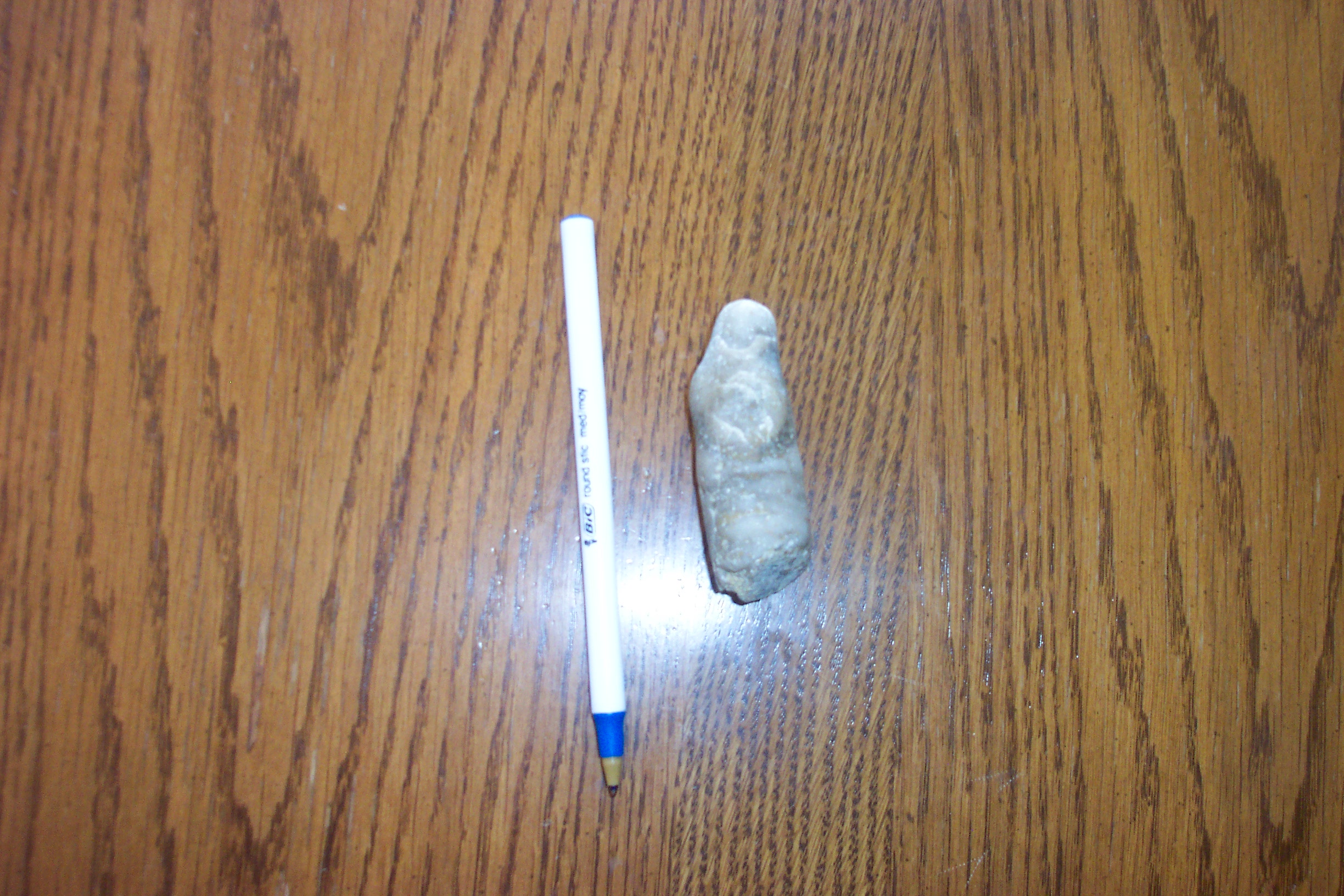 Looking For Opinions On What I Believe Is A Petrified Finger - Fossil ...