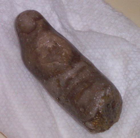 Looking For Opinions On What I Believe Is A Petrified Finger - Fossil ...