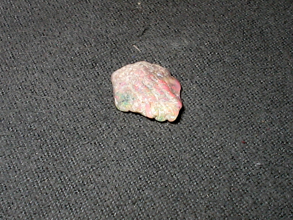Opalised Dino Tooth? Pic Heavy - Fossil ID - The Fossil Forum