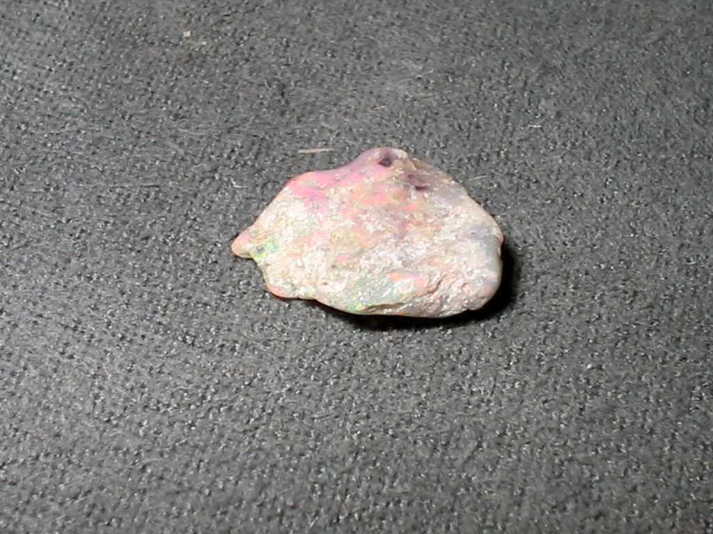 Opalised Dino Tooth? Pic Heavy - Fossil ID - The Fossil Forum