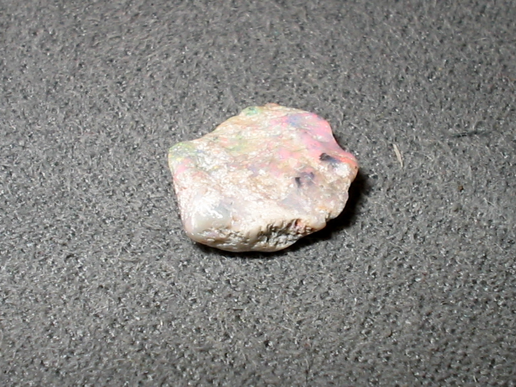 Opalised Dino Tooth? Pic Heavy - Fossil ID - The Fossil Forum