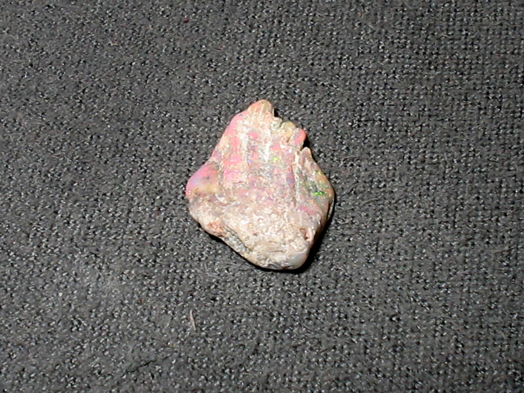 Opalised Dino Tooth? Pic Heavy - Fossil ID - The Fossil Forum