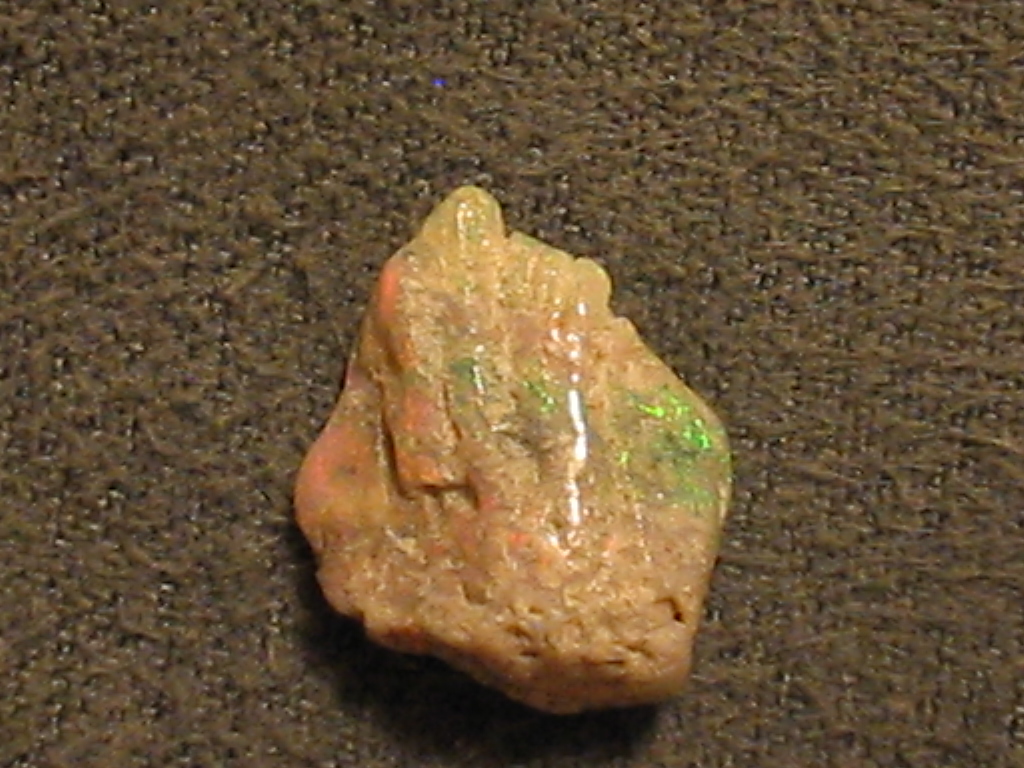 Opalised Dino Tooth? Pic Heavy - Fossil ID - The Fossil Forum