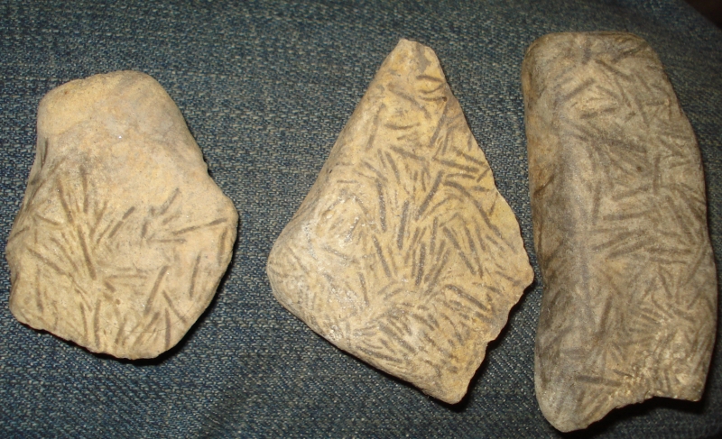 Nodules Embedded In Siltstone.. - Fossil ID - The Fossil Forum