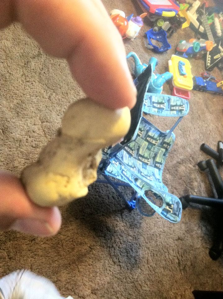Fossilized Toe Joint? - Fossil ID - The Fossil Forum
