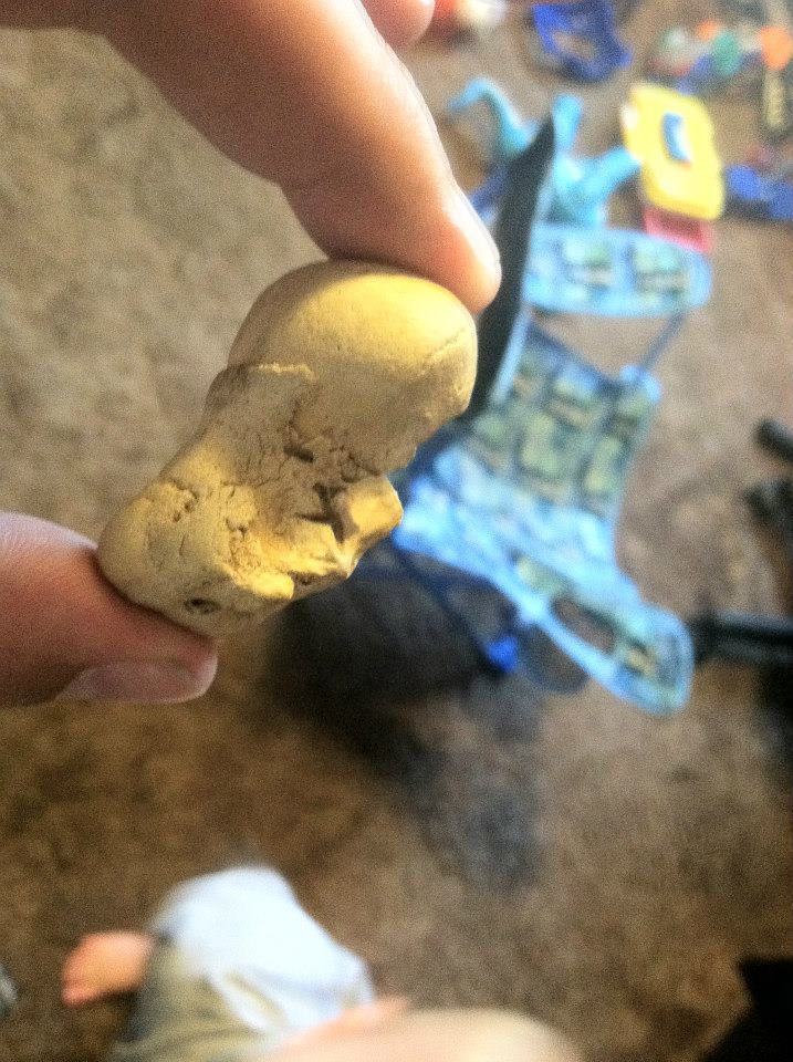 Fossilized Toe Joint? - Fossil ID - The Fossil Forum