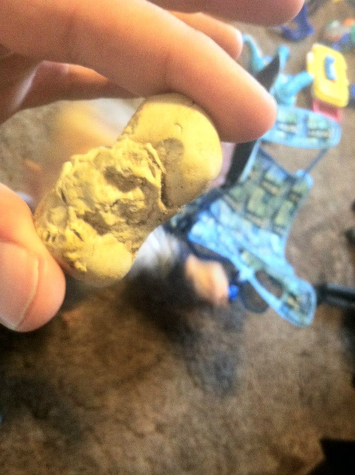 Fossilized Toe Joint? - Fossil ID - The Fossil Forum