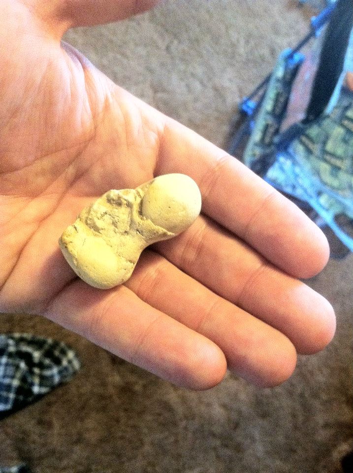 Fossilized Toe Joint? - Fossil ID - The Fossil Forum