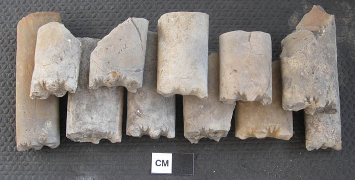 Cretaceous Colorado- Baculite Mesa And Tepee Buttes - Fossil Hunting ...
