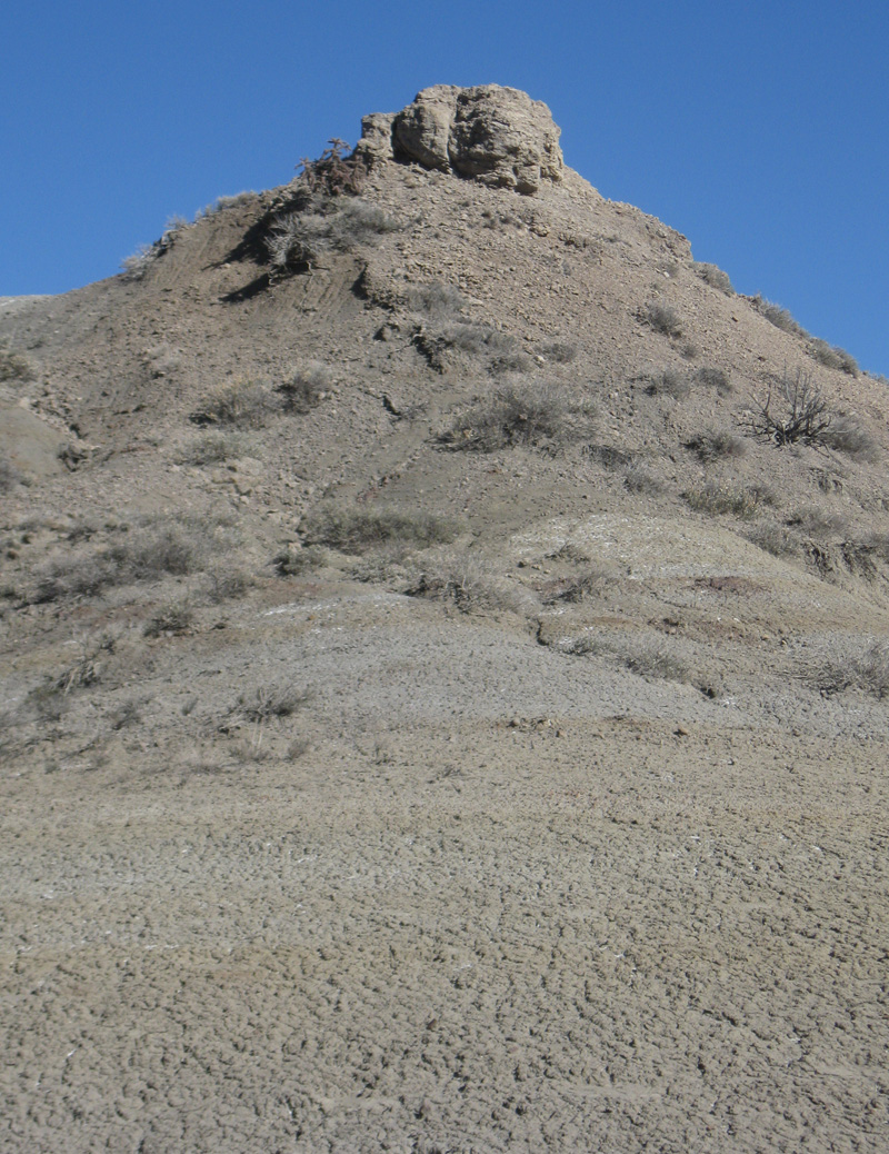 Cretaceous Colorado- Baculite Mesa And Tepee Buttes - Fossil Hunting ...