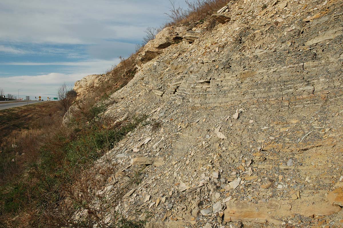 Show Your Period Boundaries - General Fossil Discussion - The Fossil Forum
