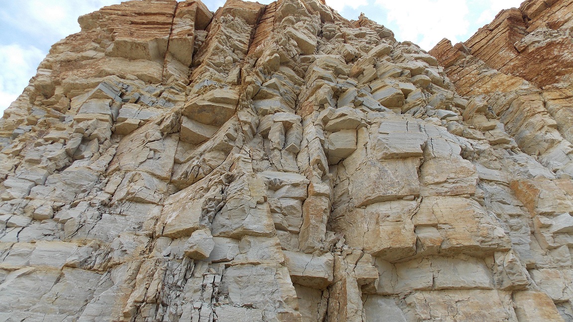 Forboding Quarry Hunt - Fossil Hunting Trips - The Fossil Forum
