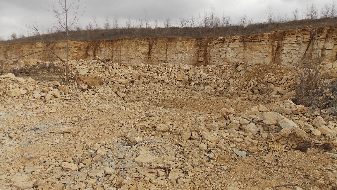 Quarry Hunting In Se Minnesota - Fossil Hunting Trips - The Fossil Forum