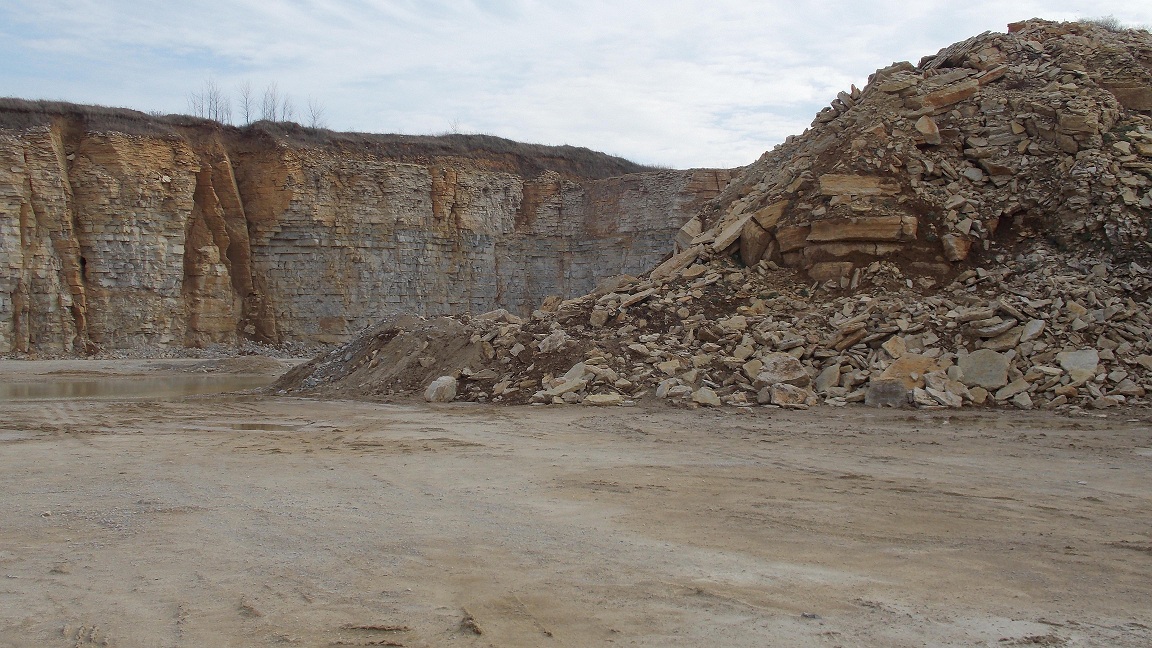 Forboding Quarry Hunt - Fossil Hunting Trips - The Fossil Forum