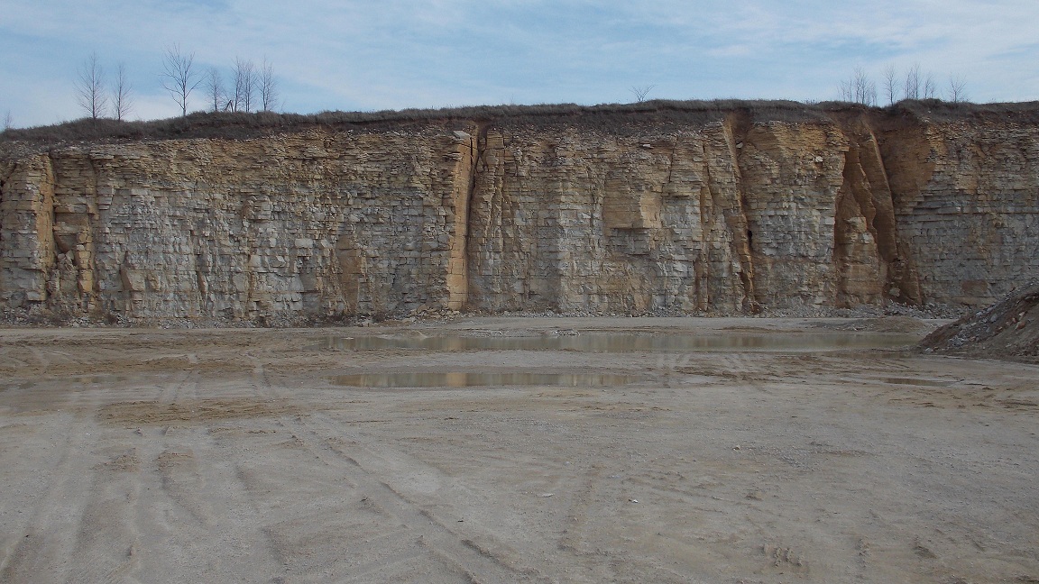 Forboding Quarry Hunt - Fossil Hunting Trips - The Fossil Forum