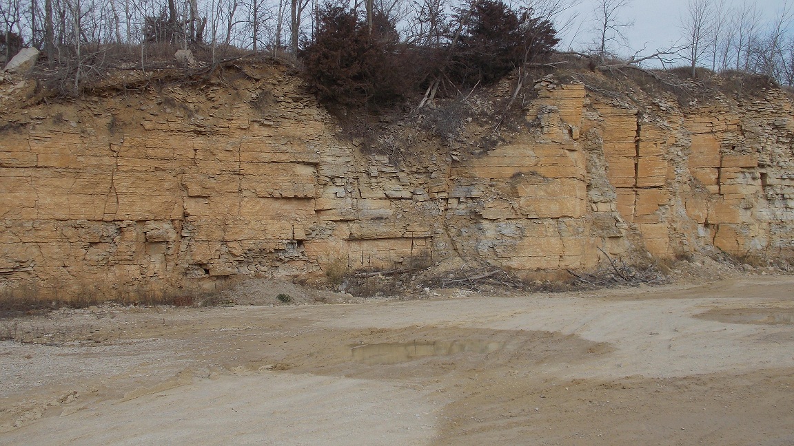 Forboding Quarry Hunt - Fossil Hunting Trips - The Fossil Forum