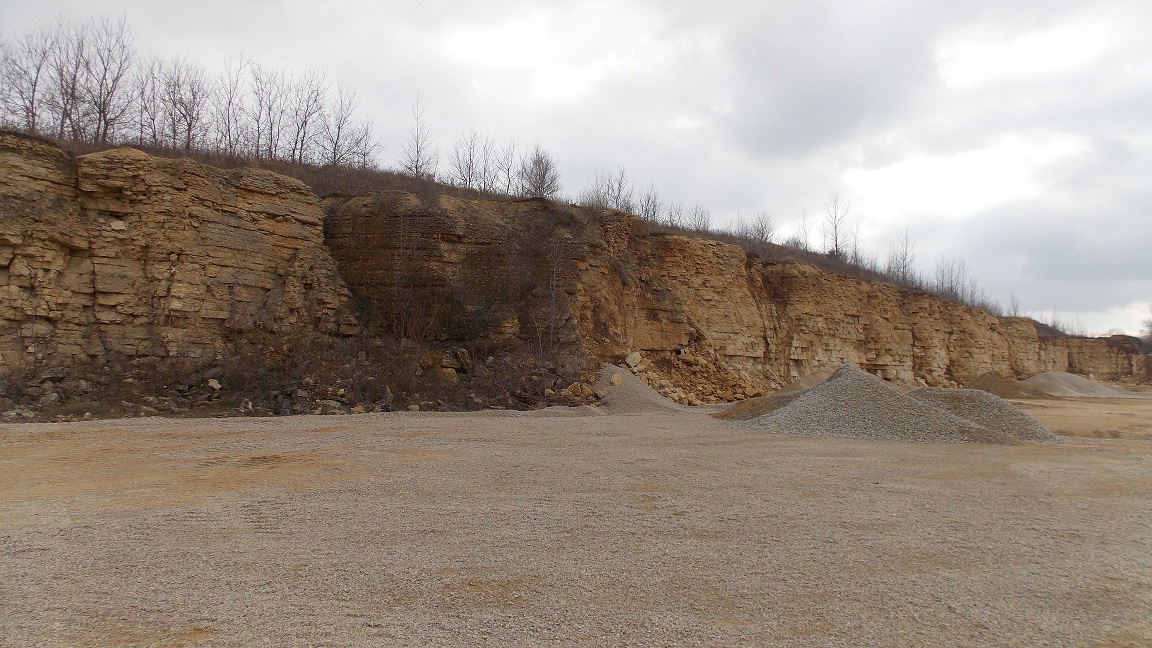 Quarry Hunting In Se Minnesota - Fossil Hunting Trips - The Fossil Forum