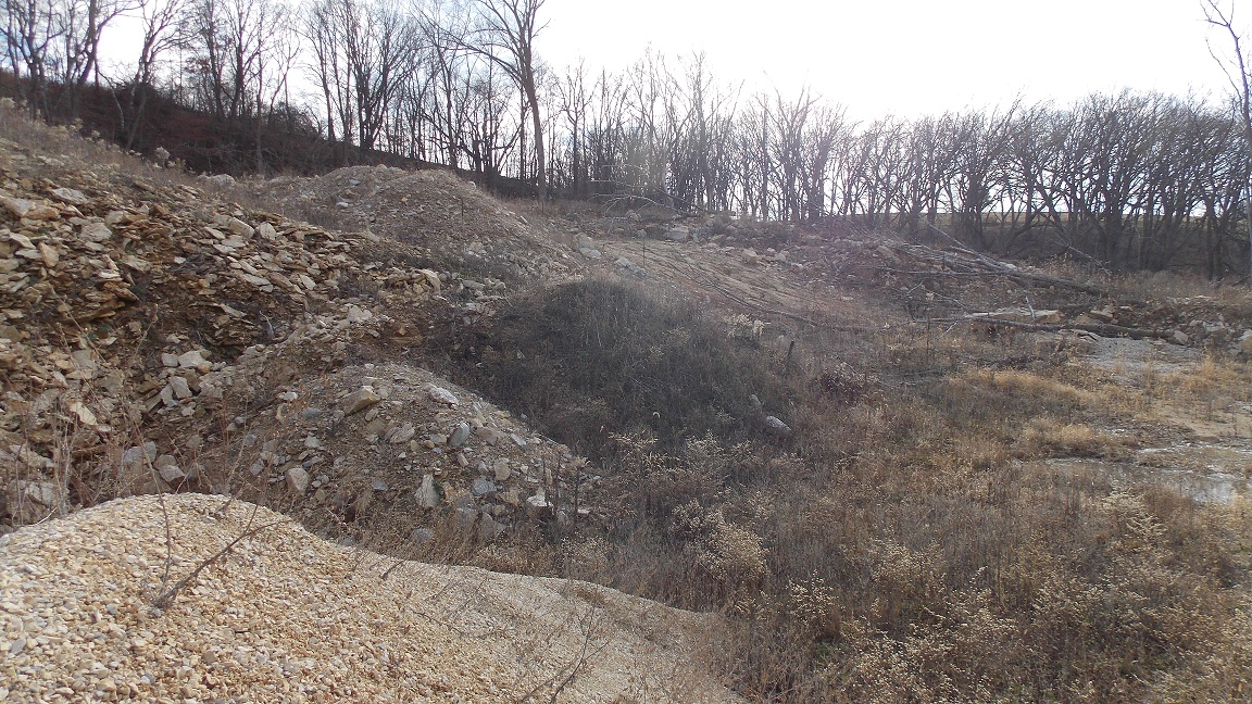 Forboding Quarry Hunt - Fossil Hunting Trips - The Fossil Forum