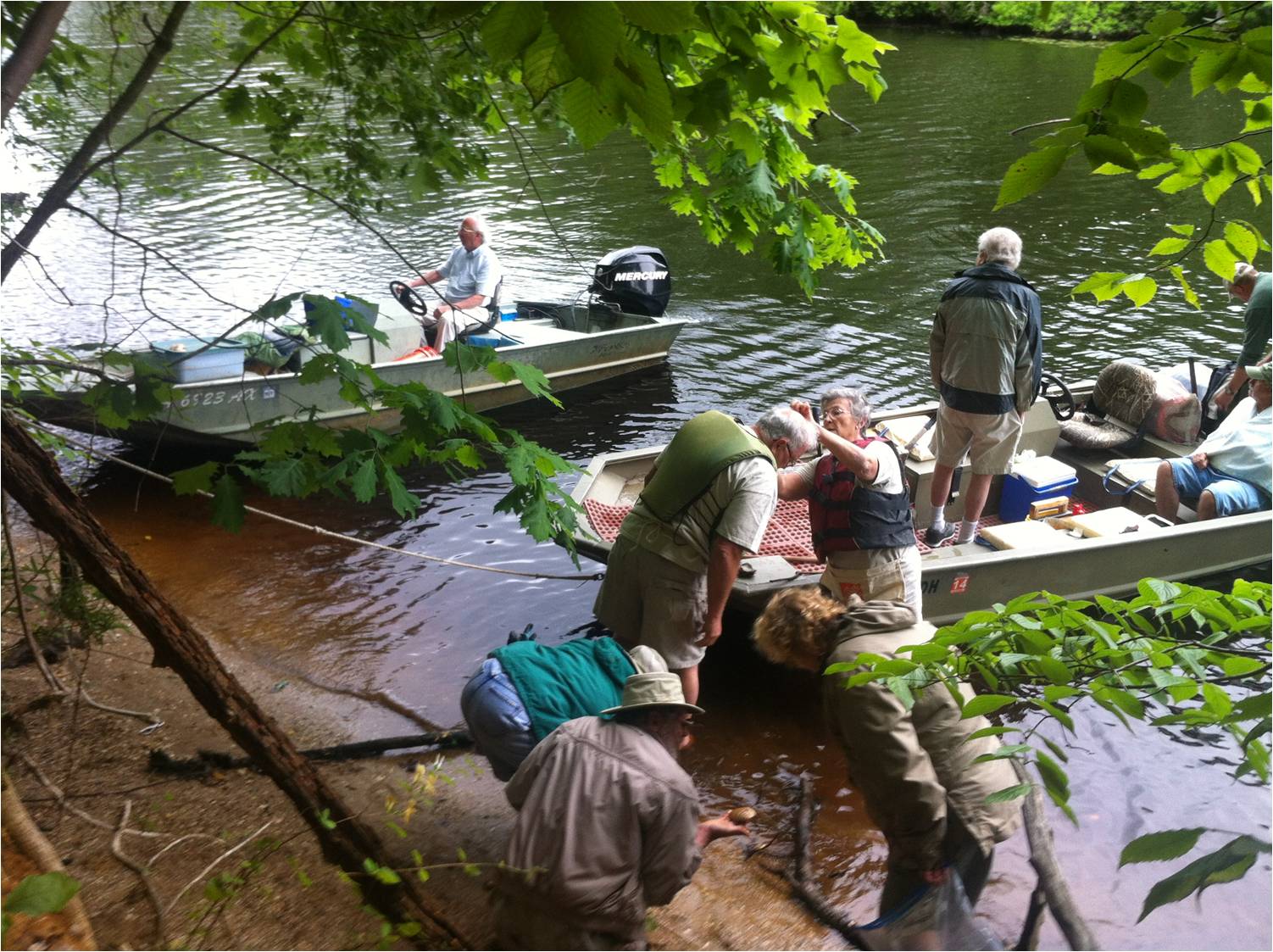 Chowan River Formation Revisited - Southern Comfort - The Fossil Forum