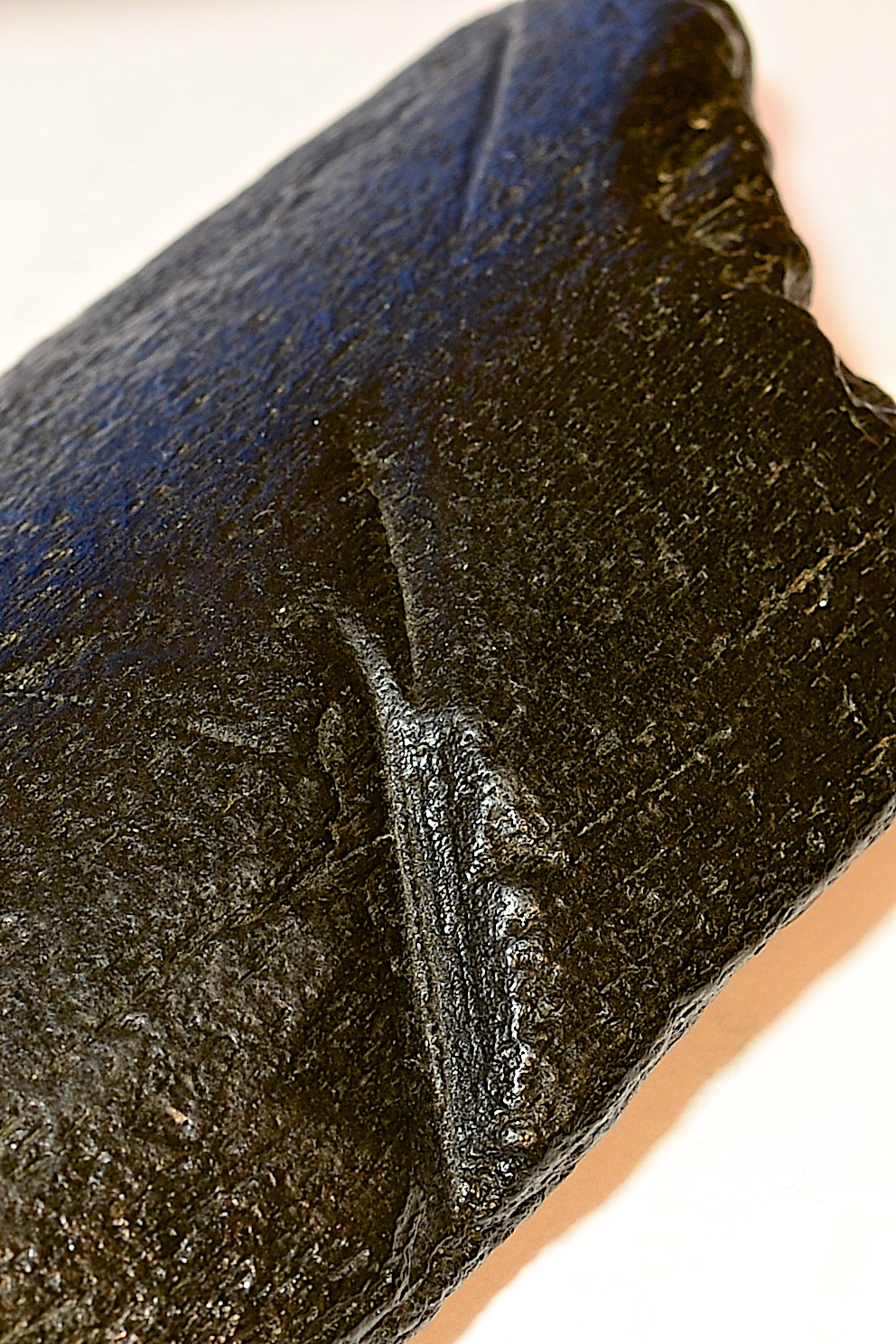 Dolphin Bone With Bite Marks? - Fossil ID - The Fossil Forum