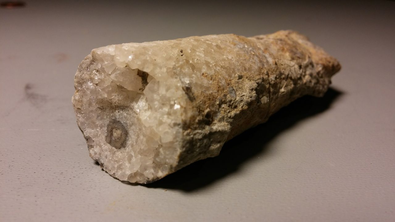 Crystallized fossils - General Fossil Discussion - The Fossil Forum