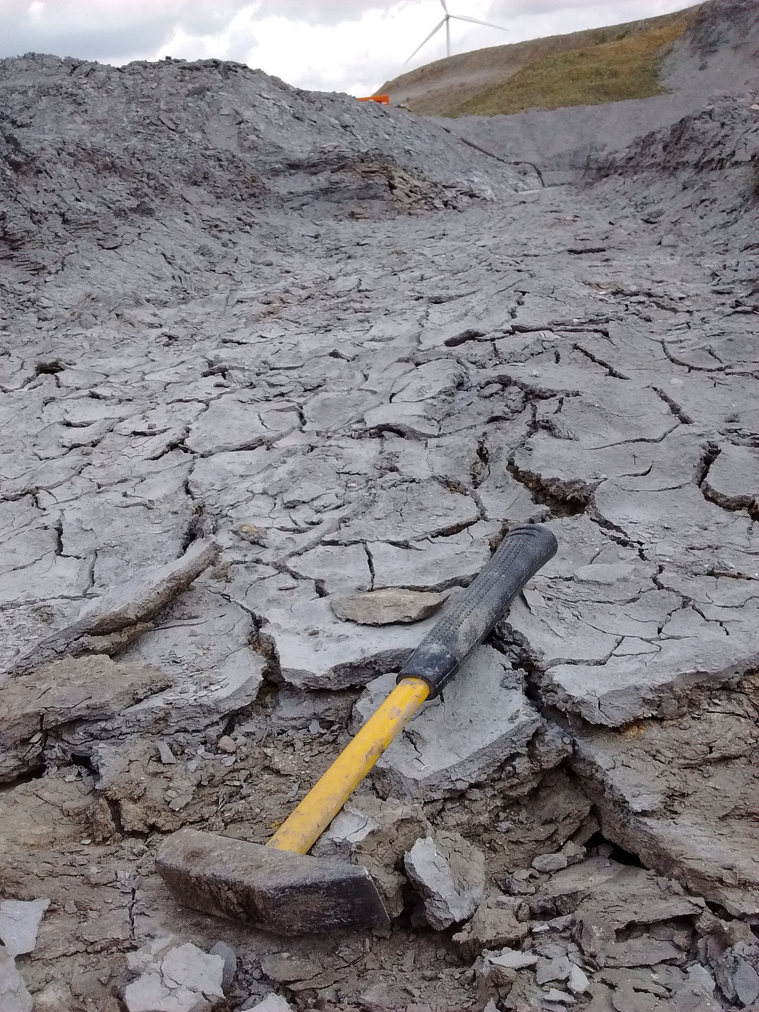 Im looking for a new Geo Pick - Collecting Gear - The Fossil Forum