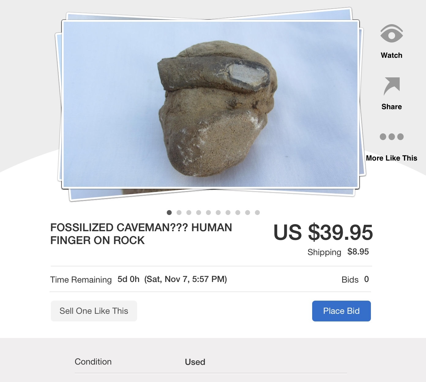 Fossilized Finger? Probably Not.. - Is It Real? How to Recognize Fossil ...
