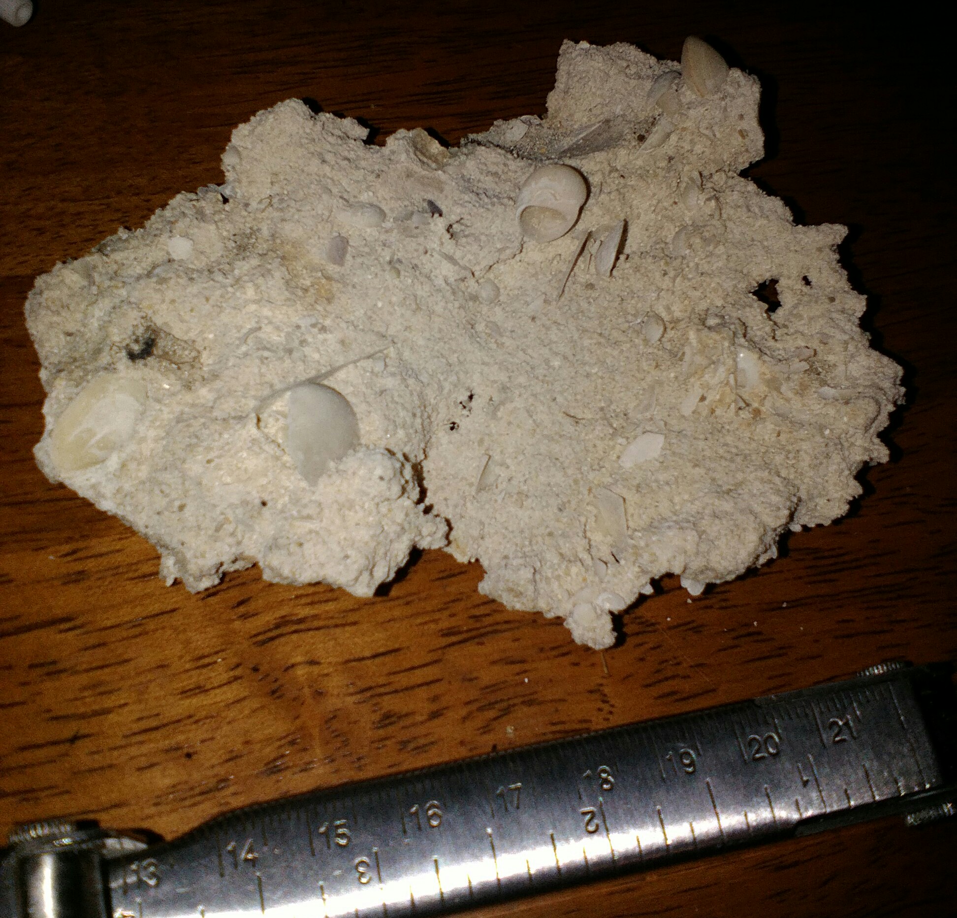 Good product for preserving friable matrix? - Micro-paleontology - The ...