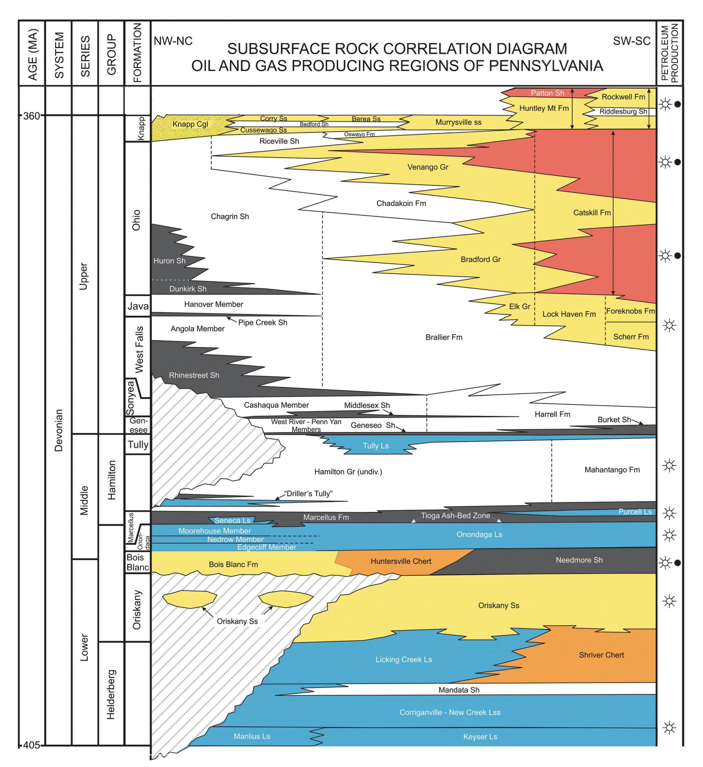 Examining The Stratigraphy Of A Borrow Pit - General Fossil Discussion ...