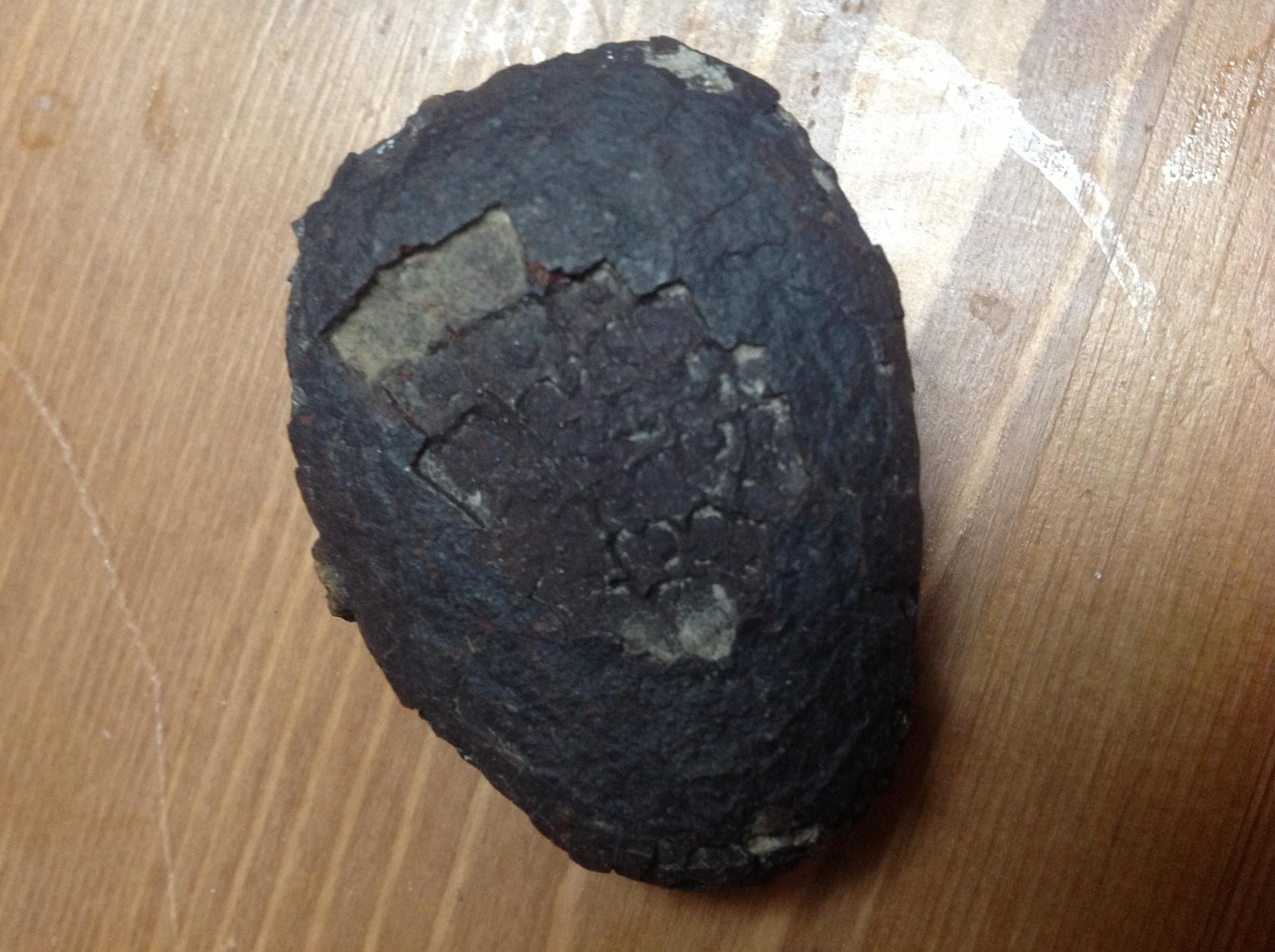 Is This An Egg? - Fossil ID - The Fossil Forum