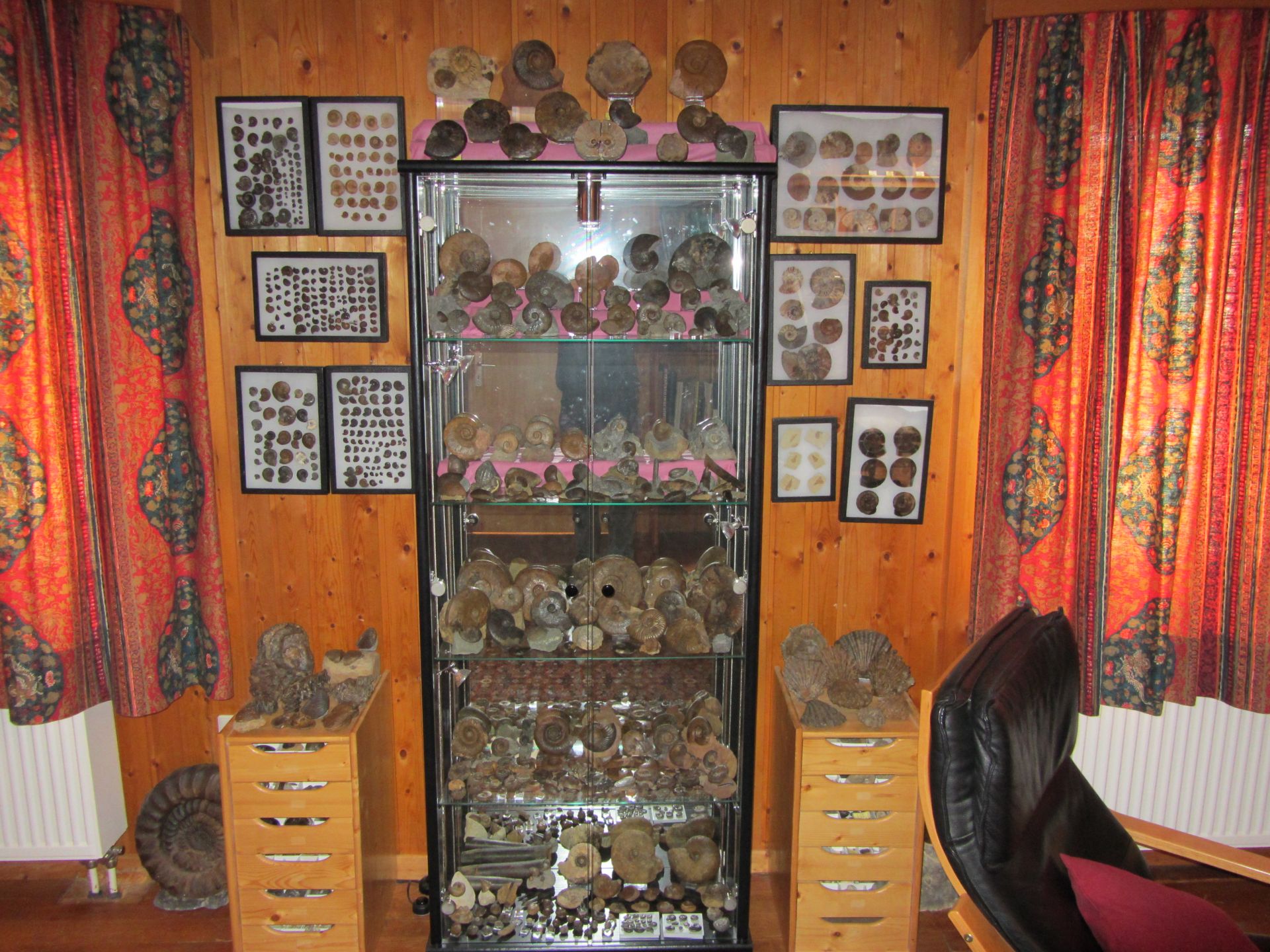 Collection Update - Member Collections - The Fossil Forum
