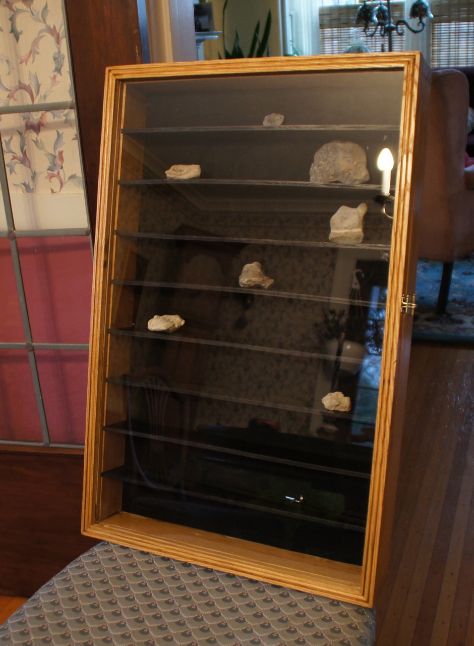 Shadow Box Fossil Displays - General Fossil Discussion - The Fossil Forum