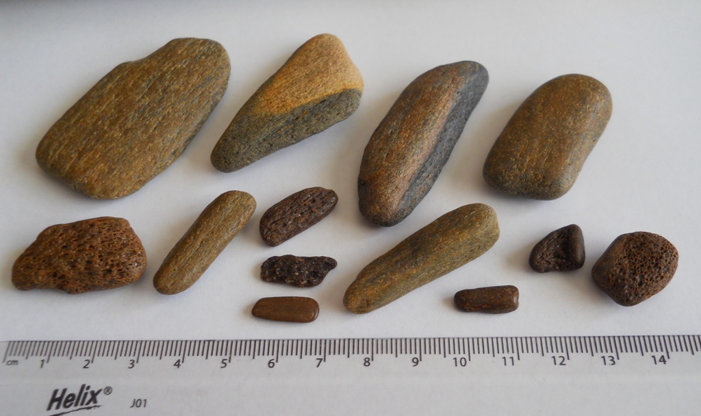 Red Crag & London Clay - Harwich, Essex Uk - Fossil Hunting Trips - The ...