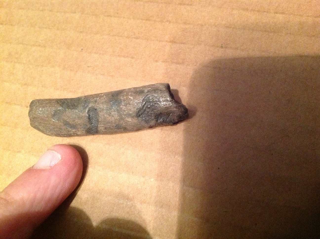 Let's See Your Fossils With Bite/predation Marks - Page 2 - Member ...