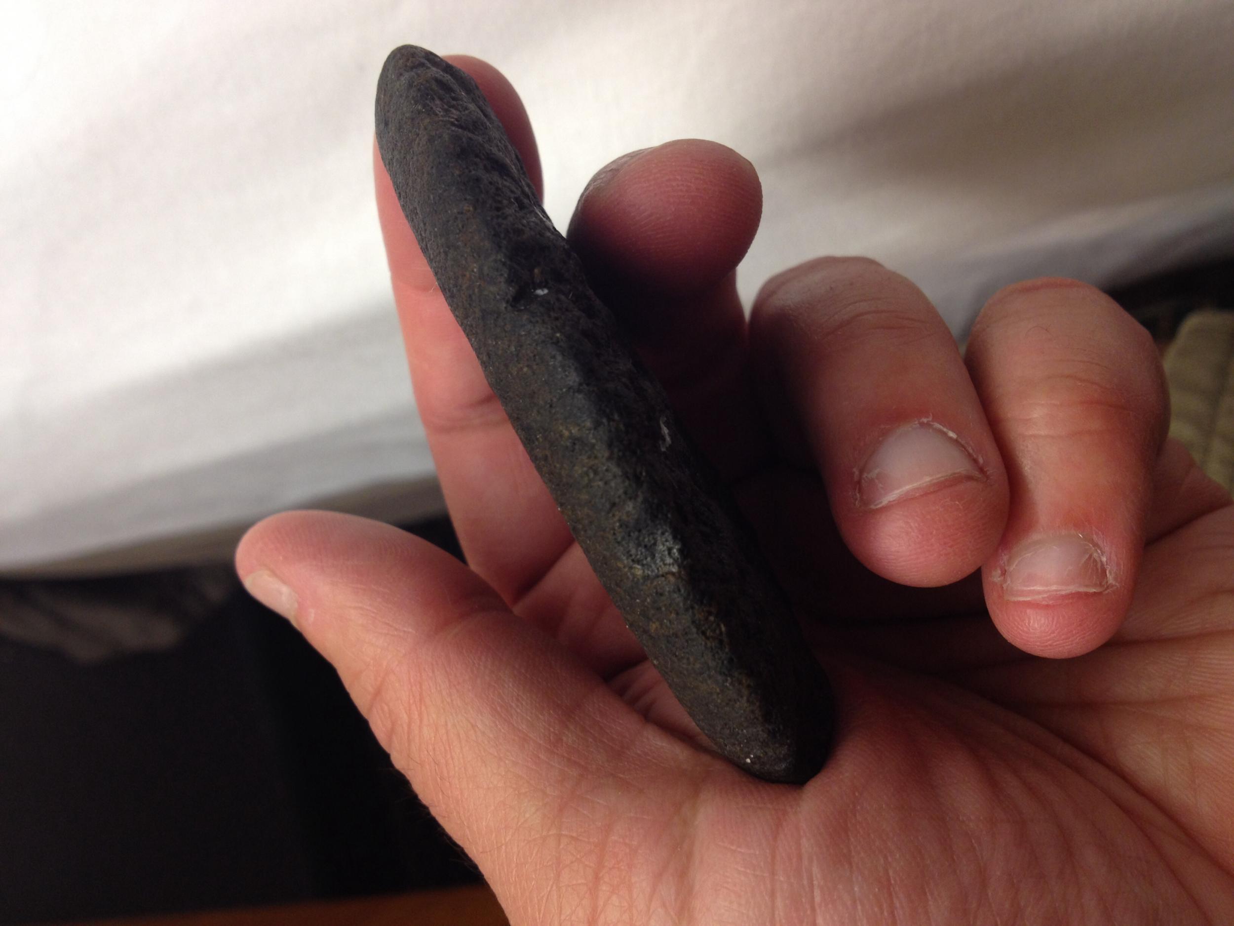 Florida Beach Find - Fossil ID - The Fossil Forum